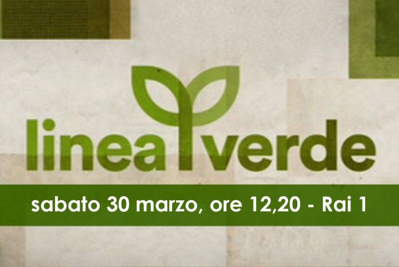 Labormak e Provide Solution su Linea Verde, Rai 1 - news - Labormak S.r ...